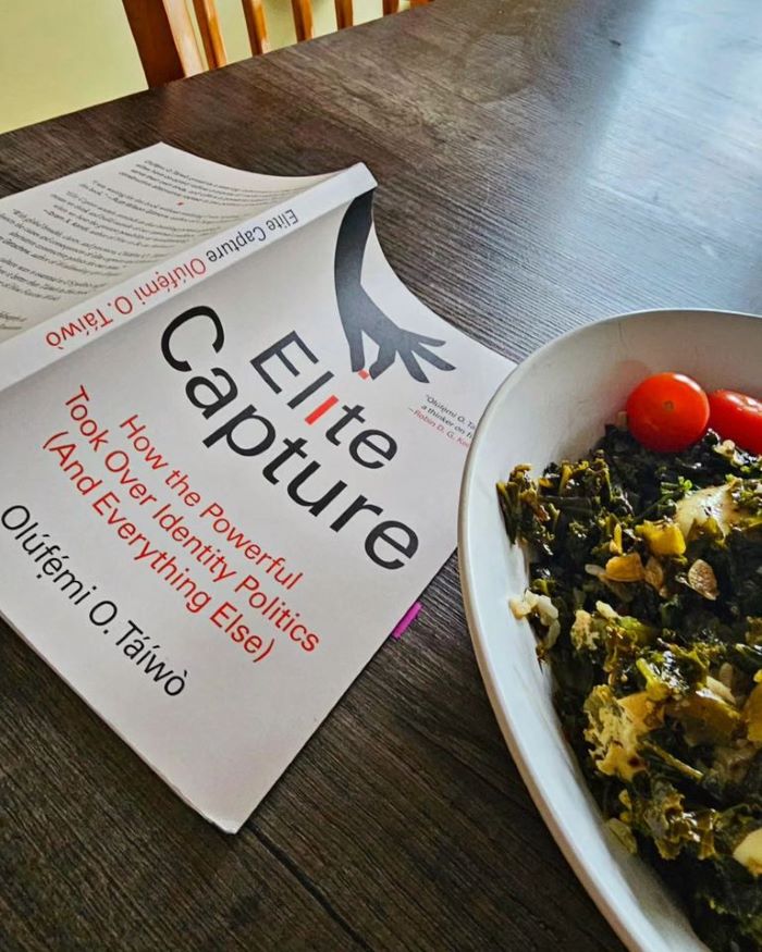 [REVIEW] Elite Capture, by Olúfémi O. Táíwò – Equal Opportunity Reader