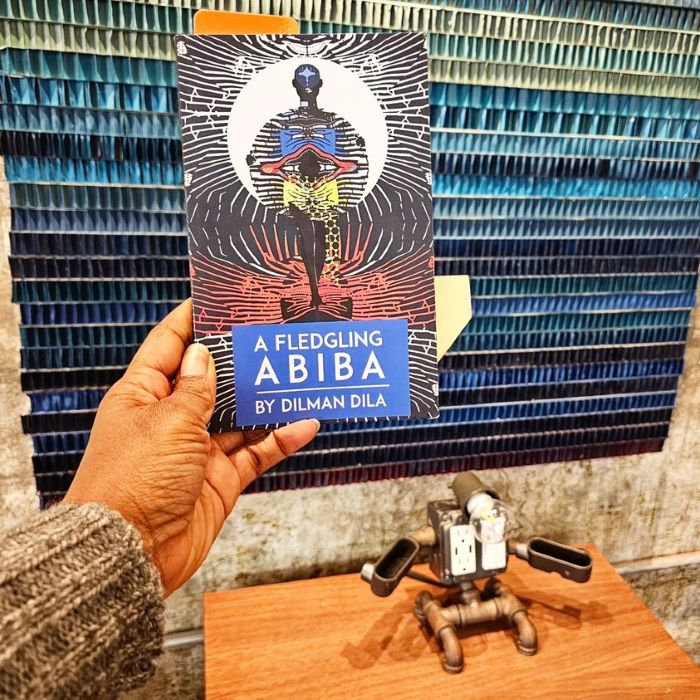 [REVIEW] A Fledgling Abiba, by Dilman Dila – Equal Opportunity Reader